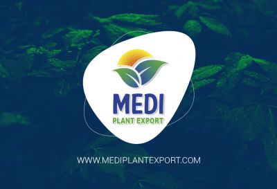 Medi Plant Export